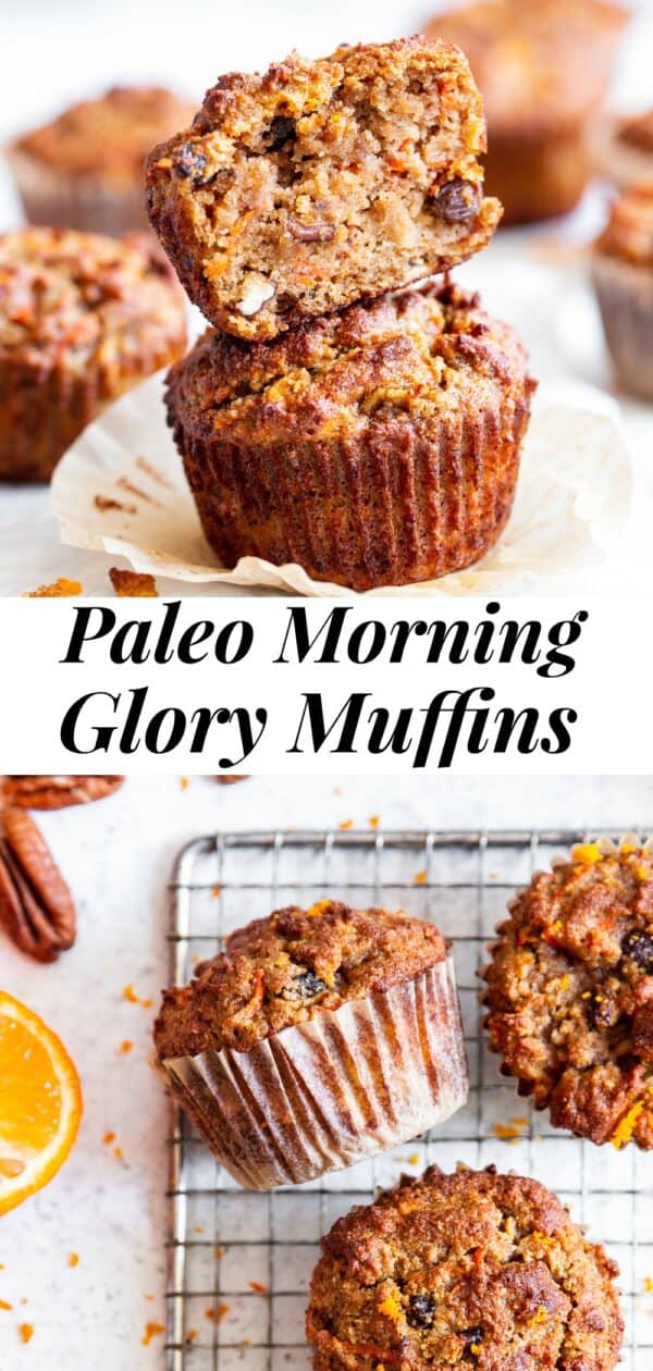 Paleo Morning Glory Muffins {Gluten Free, Dairy Free}