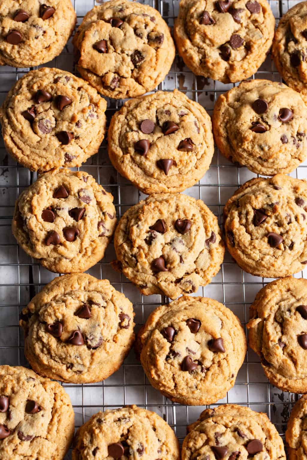 Peanut Butter Chocolate Chip Cookies {Grain Free, Gluten Free} - The ...