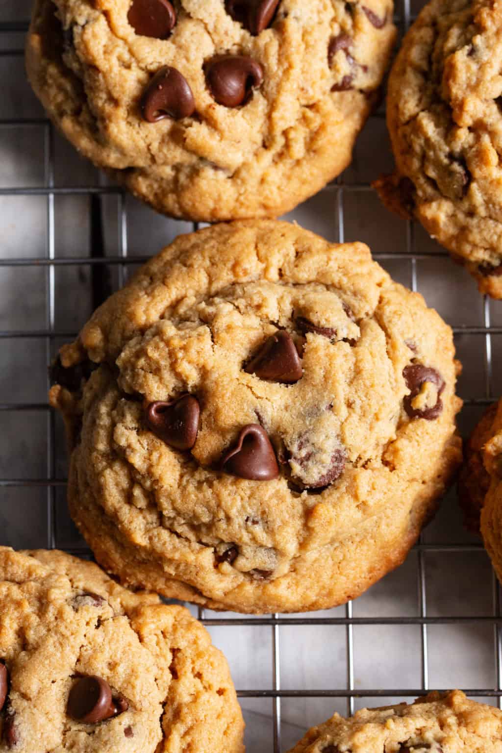Peanut Butter Chocolate Chip Cookies {Grain Free, Gluten Free} - The ...