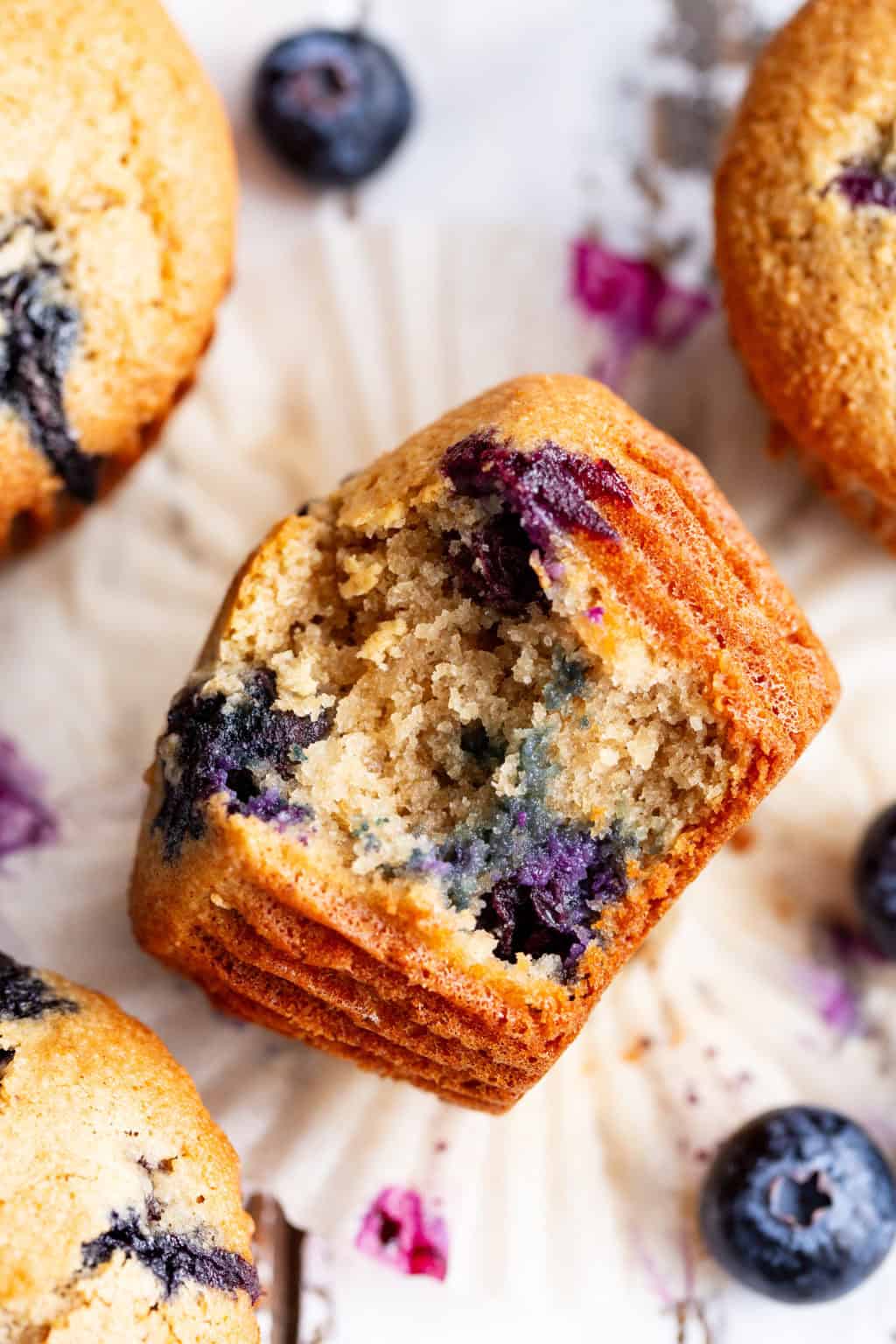 One Bowl Paleo Blueberry Muffins {Easy Almond Flour Recipe} - The Paleo ...